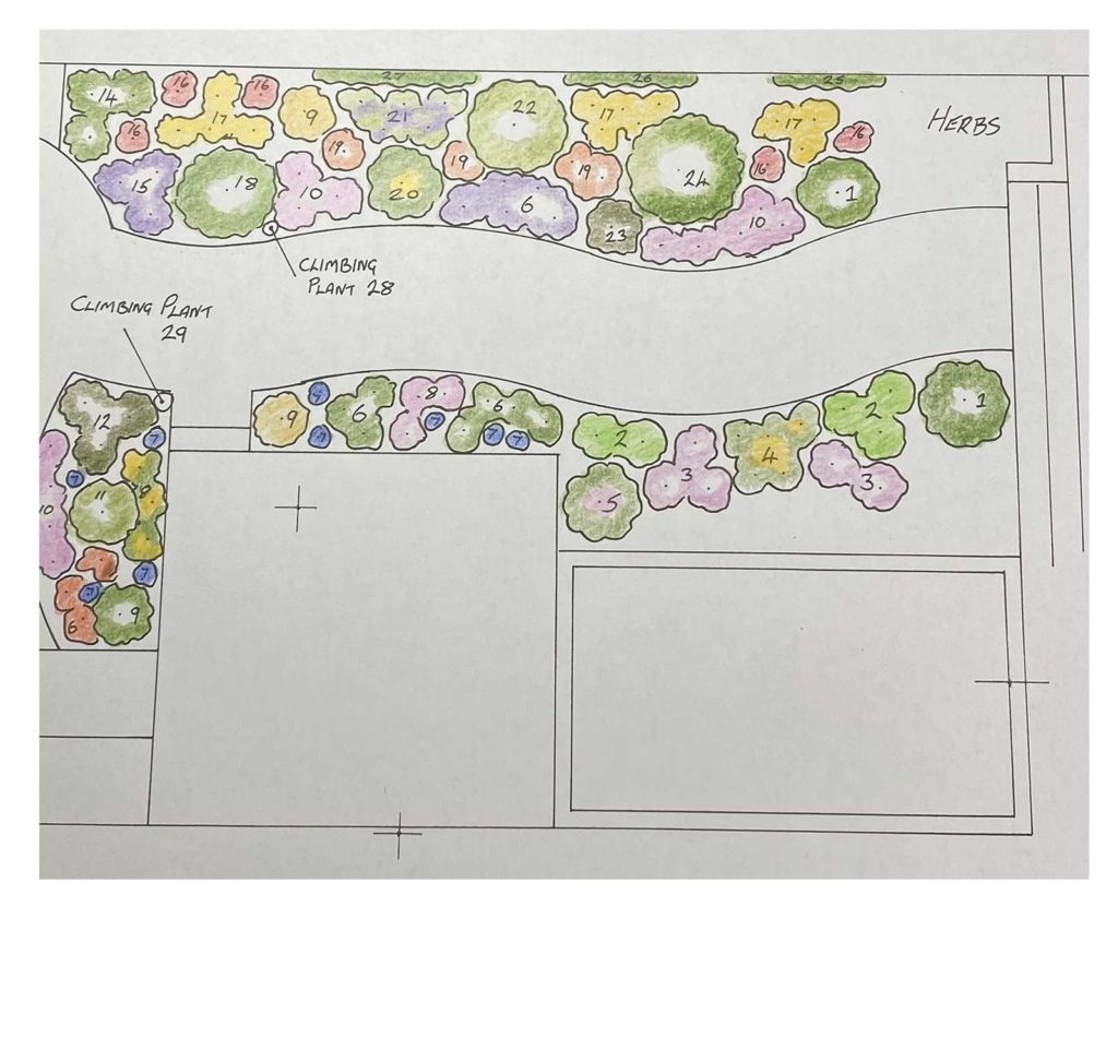 The Garden Design Process - Greenhayes Garden Design